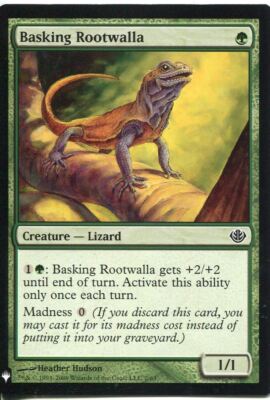 Magic The Gathering MTG Mystery Pack Card Basking Rootwalla | eBay UK