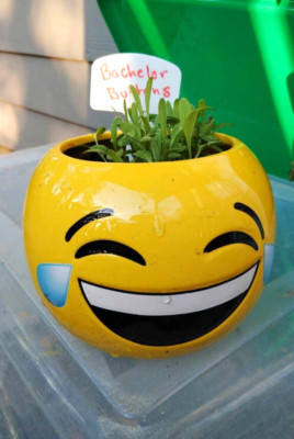 DECOR /Planter Crying Laughing Emoji Vase, Candy Bowl or Other Crafty ...