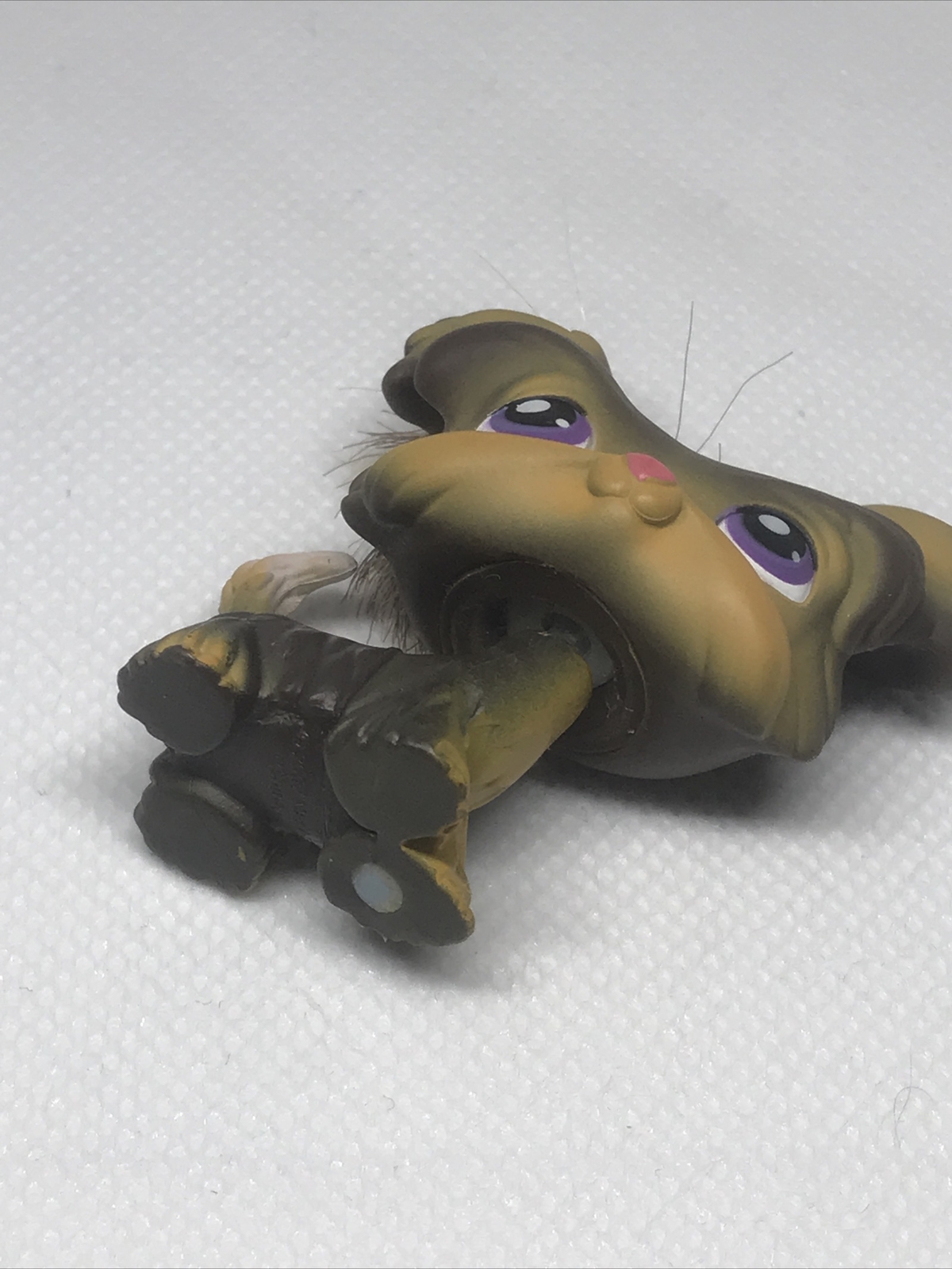 Littlest Pet Shop LPS #398 Shih Tzu Yorkie Dog Dark Brown Tan Purple ...