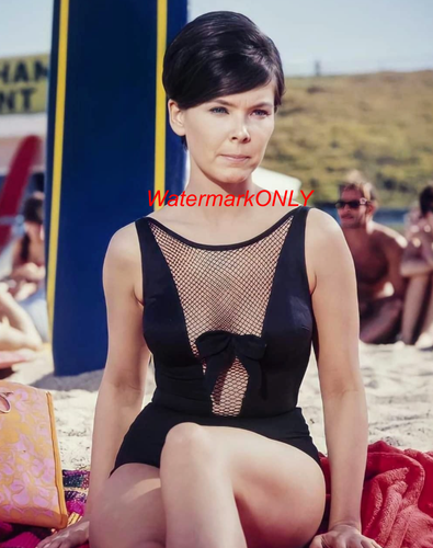 Gorgeous Actress Yvonne Craig '60's TV "Bat Girl" SEXY HOT "Pin-Up" PHOTO! #43bc | eBay