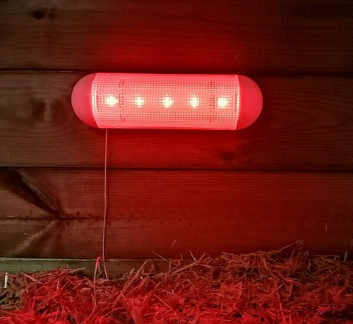 Chicken Poultry Solar Red Light Coop House Night glow Hen Rooster LED ...