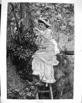 Original Old Antique Print 1879 Spring Scene Young Woman Holly Tree ...