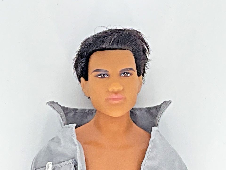 Barbie Collector Twilight Saga New Moon Jacob Doll | eBay