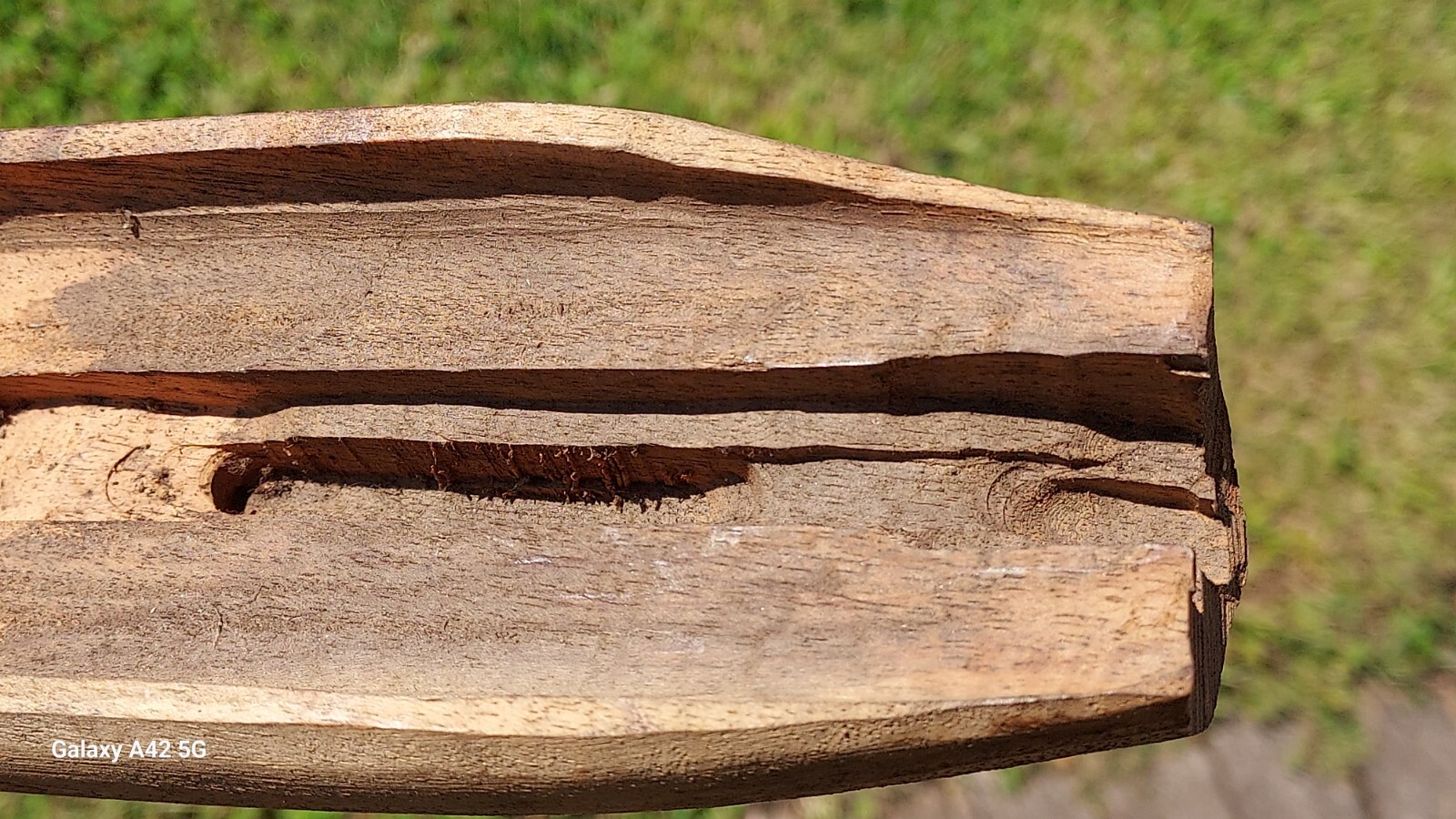 LC Smith 12ga Semi Inletted BEAVERTAIL FOREND - READ DESCRIPTION | eBay