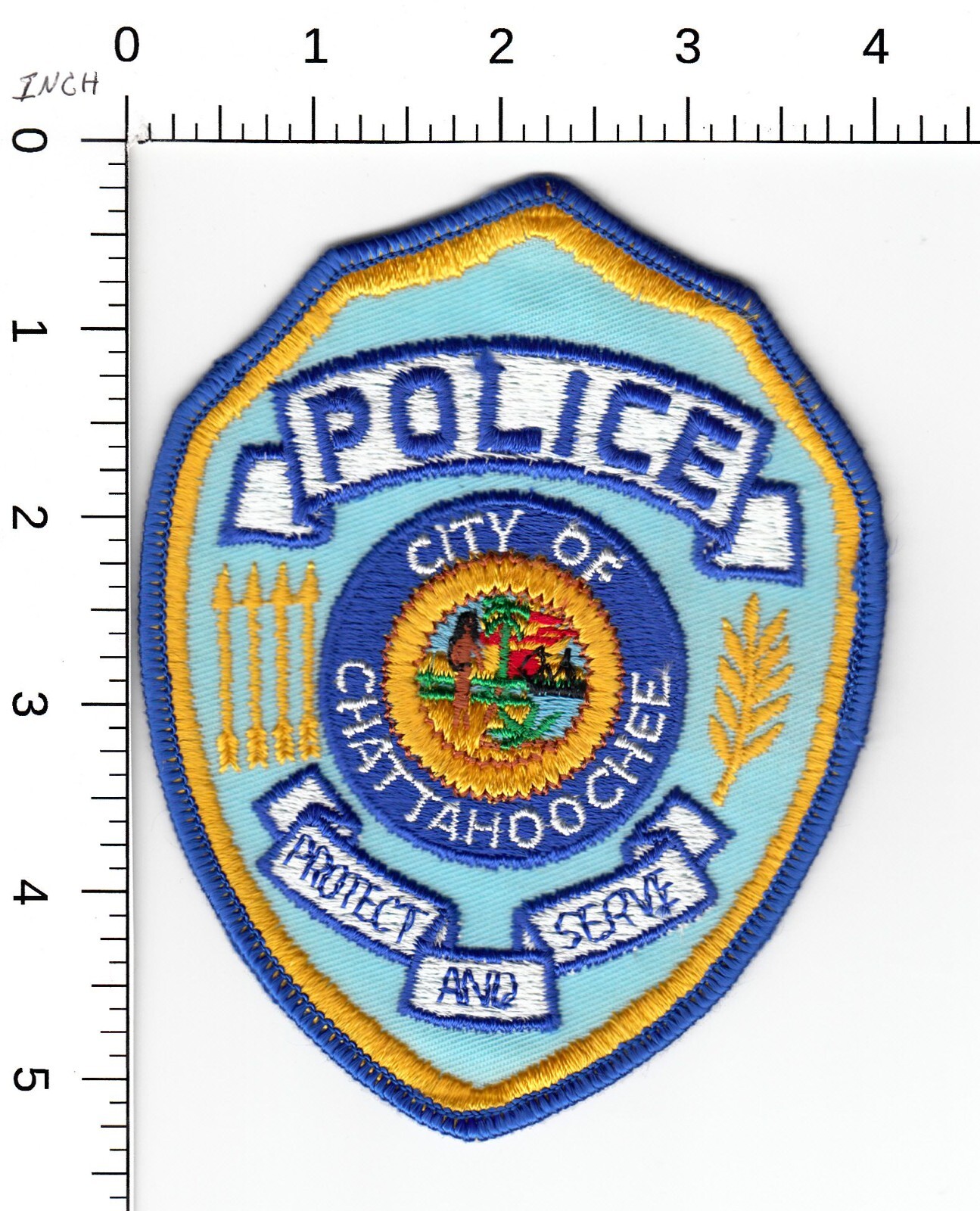CHATTAHOOCHEE -OLDER ISSUE- FLORIDA POLICE COLLECTIBLE PATCH | eBay