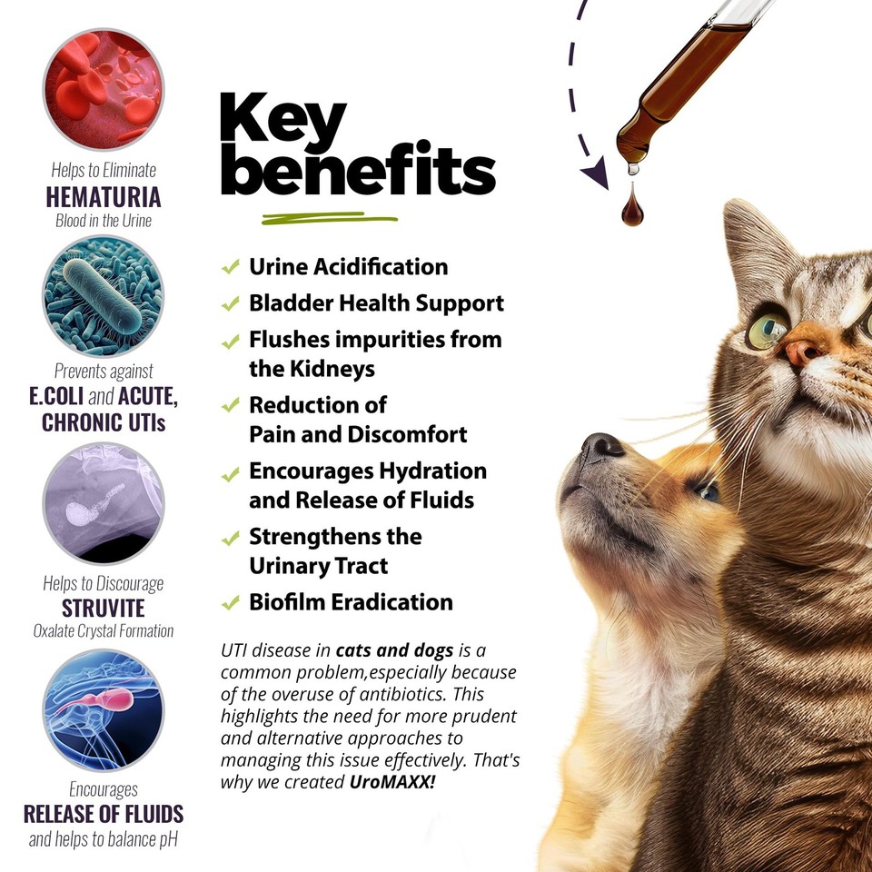 UroMAXX, Cat Dog Urinary Tract Treatment, Bladder Kidney Support for ...