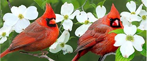 Jim Rathert - 15 oz. Mug - Northern Cardinals with Flowering Dogwood | eBay