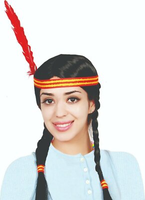 Dress-Up-America Native American Wig - Black Braided Indian Wig ...