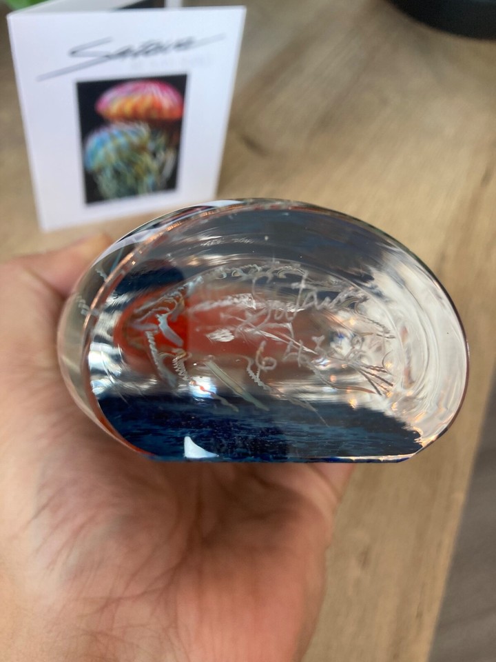 Pacific Coast Jellyfish Seascape Flat 6.5” by Satava Art Glass Signed ...