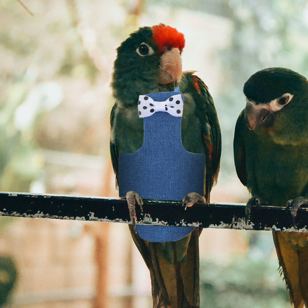 Comfortable Pigeon Flight Suit with Diaper Pants for Birds | eBay