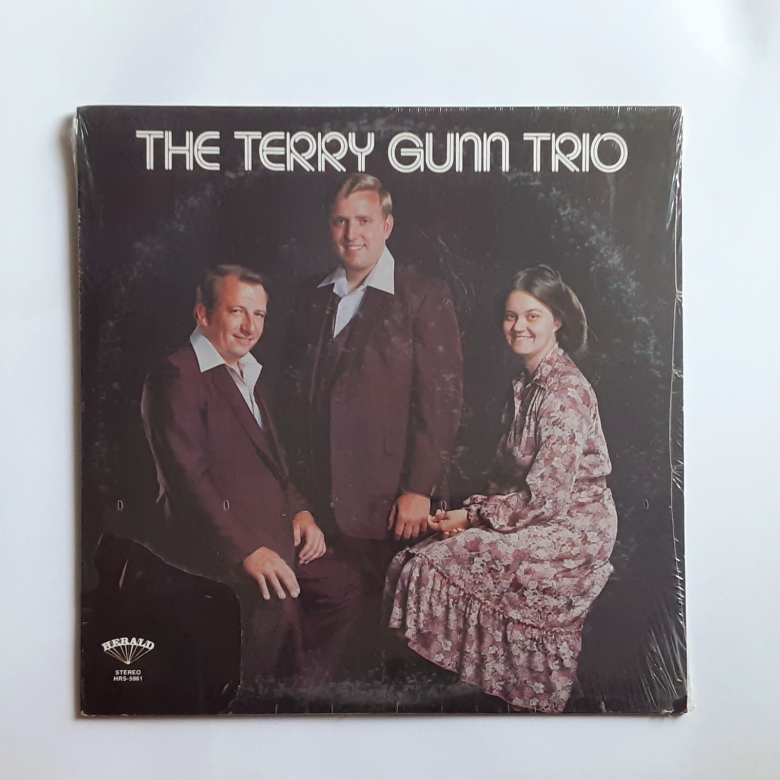 The Terry Gunn Trio VINYL LP ALBUM 1981 HERALD RECORDS Private Press ...