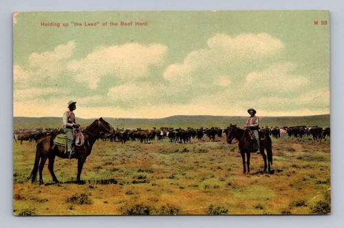 Cowboys "Holding Up Beef Herd Lead" Antique CHESTERTON Montana Frontier ...