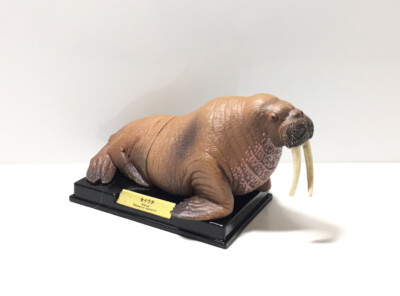 Yujin Takara Kaiyodo Japan Exclusive Walrus Animal Figure | eBay