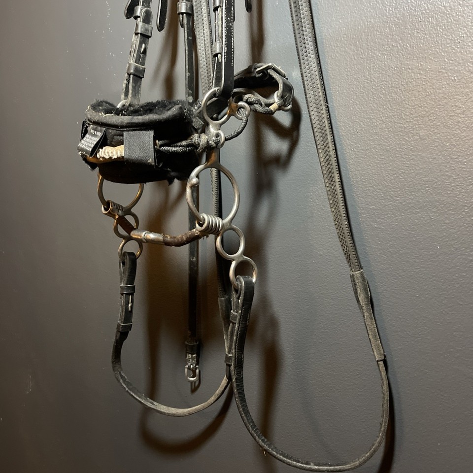 Velociti Black Padded Bridle with myler Gag Bit Full With Reins | eBay UK