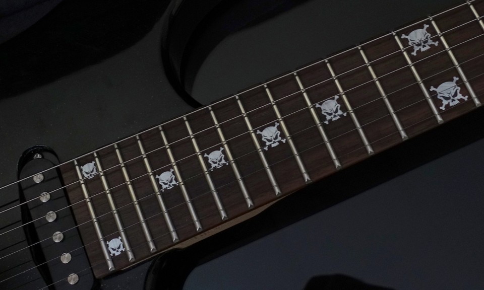 Evil Angry Skull MOP Fretboard Marker Inlays Sticker Decal for BASS and ...