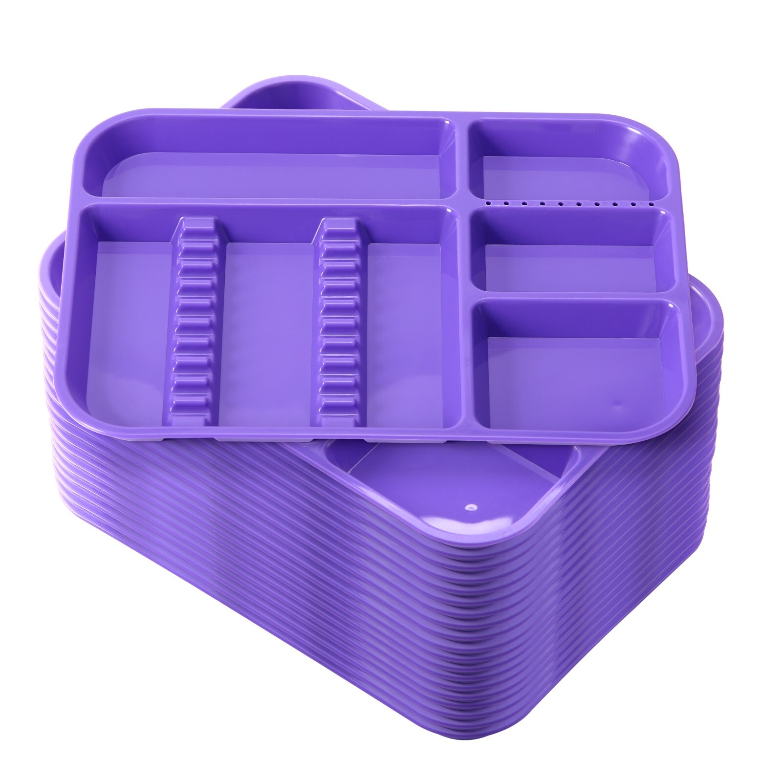 Dental Instrument Separate Divided Tray Autoclavable Plastic Set Up ...