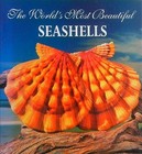 Worlds Most Beautiful Seashell - GOOD | eBay