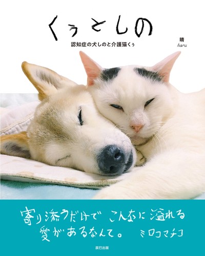 Kutoshino Dementia Dog Shino and Nursing Cat Kuu | eBay