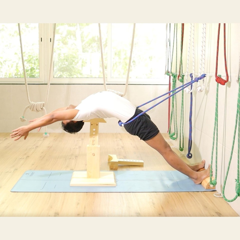 Yoga Wall Rope (Blue, Large), wall ropes, iyengar yoga wall ropes ...