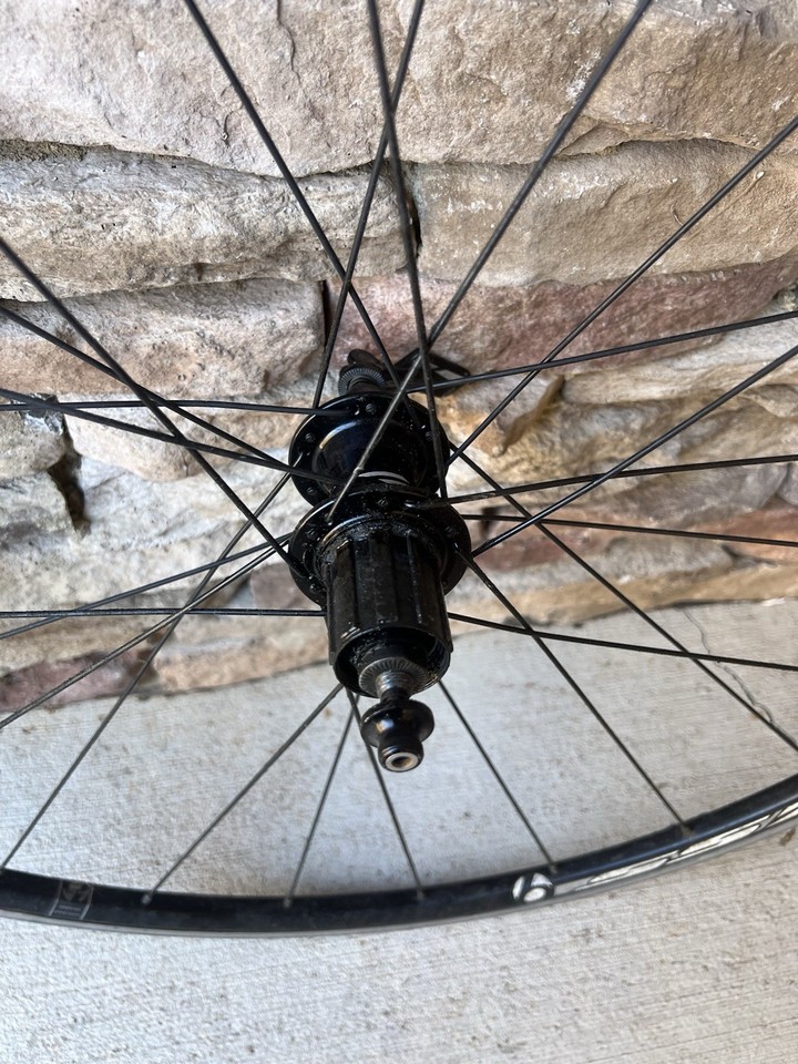 Bontrager SSR Rear Wheel 700c 24 Hole 130 Shimano 8s 9s 10s | eBay