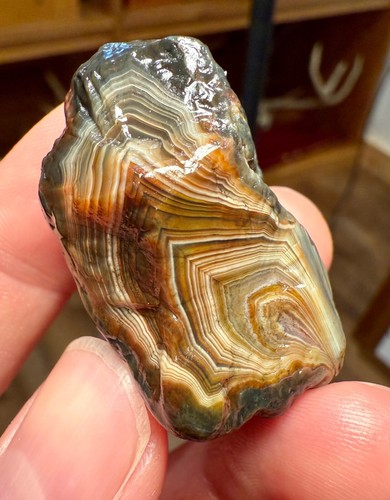 1oz LAKE SUPERIOR AGATE DARK HUSK WOTH BRIGHT BANDED FACE | eBay