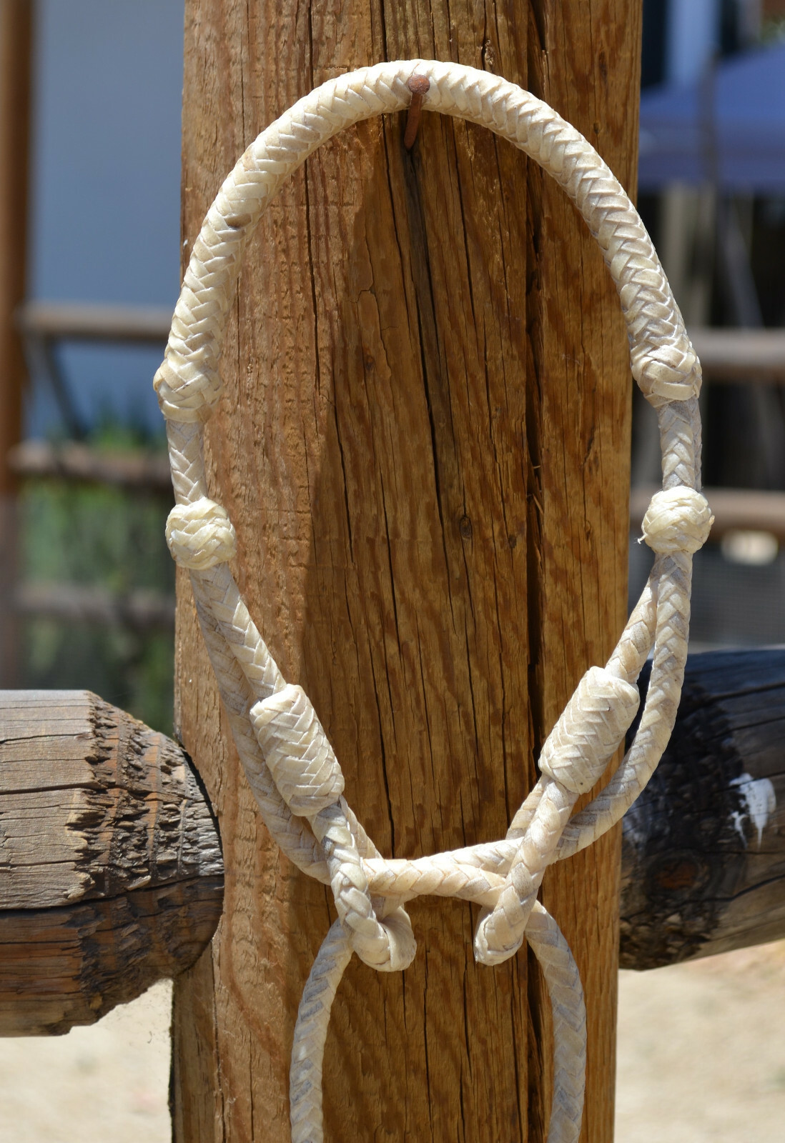 Jose Ortiz 100 Hand Braided Rawhide Indian Hackamore 8 Plait Red ...