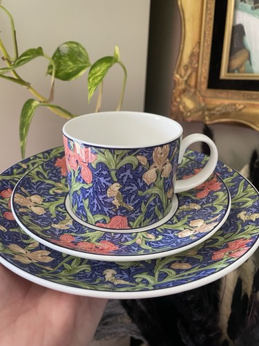Dunoon Fine Bone China IRIS Trio Cup & Saucer & Salad Plate William ...