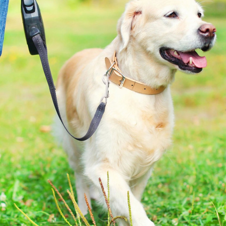6 Pcs Double End Bolt Snap Hook Dog Collar Clip Chain Clips Swivel ...