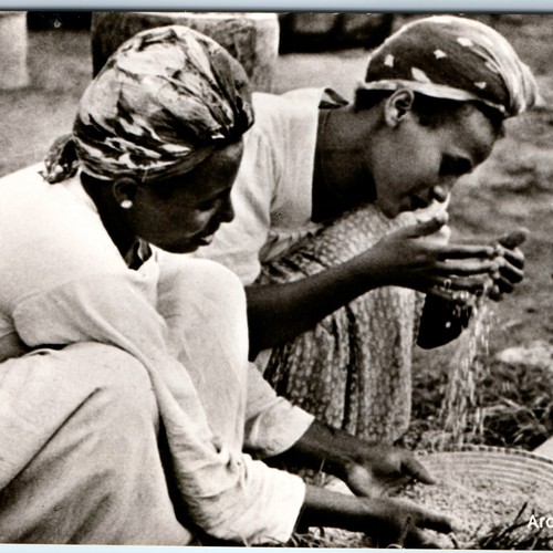 c1950s Aroussi, Ethiopia Women RPPC Winnowing Crop Workers African ...