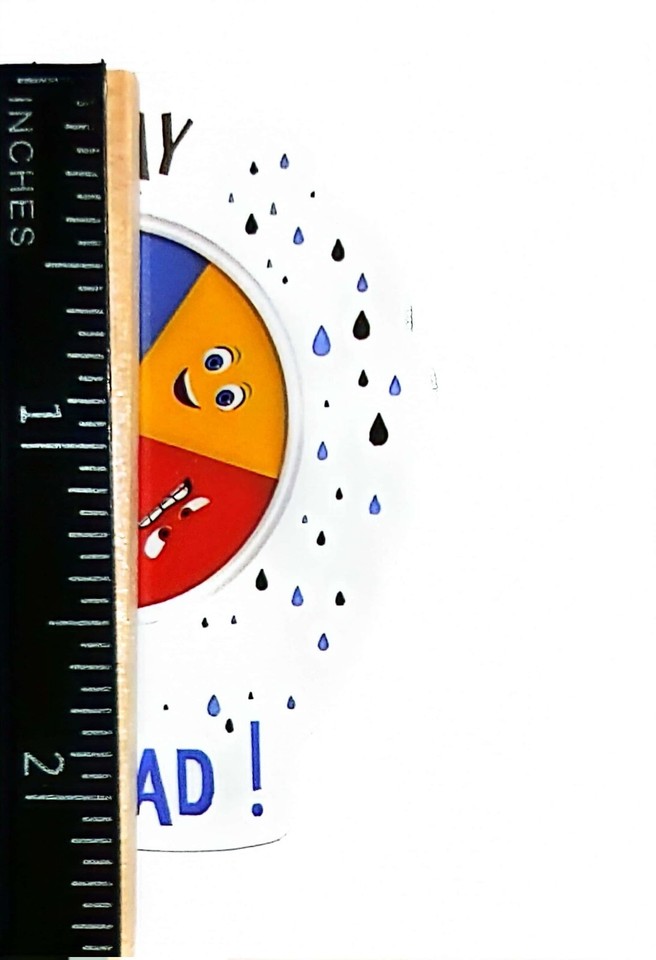 Disney Pixar INSIDE OUT Joy Sadness Fear Disgust Anger Water Resistant ...