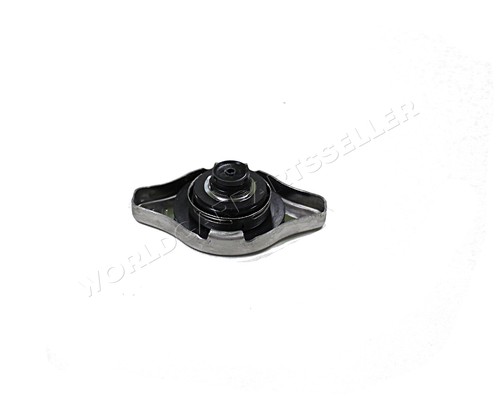 Radiator Cap For TOYOTA MITSUBISHI MAZDA DAEWOO LEXUS DAIHATSU Estate ...