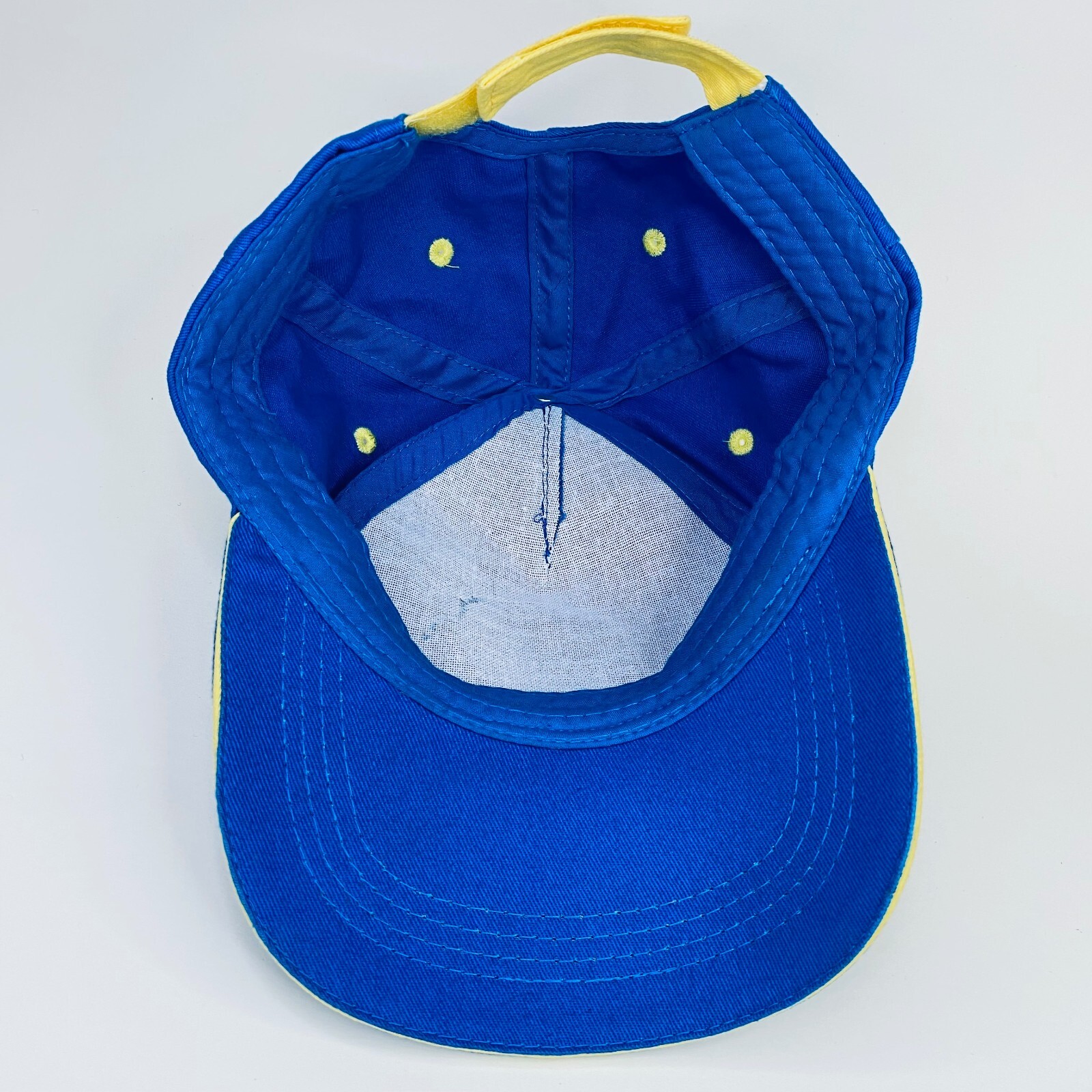 Sea World SpongeBob SquarePants Blue Cap Hat Gary Sn… - Gem