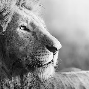 Picking Dixie Vintage Clothing | eBay Stores