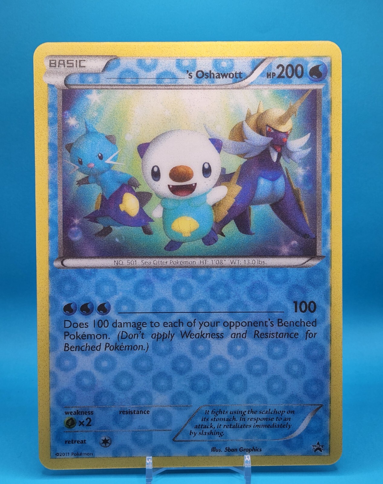 Oshawott Card