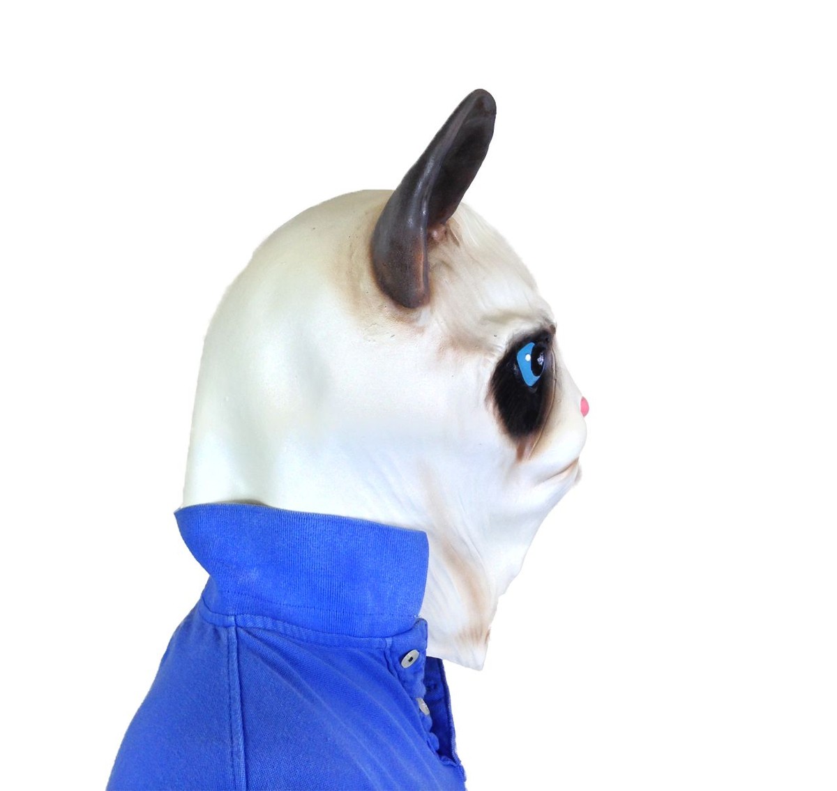 Grumpy Cat Dressed Like A Doctor