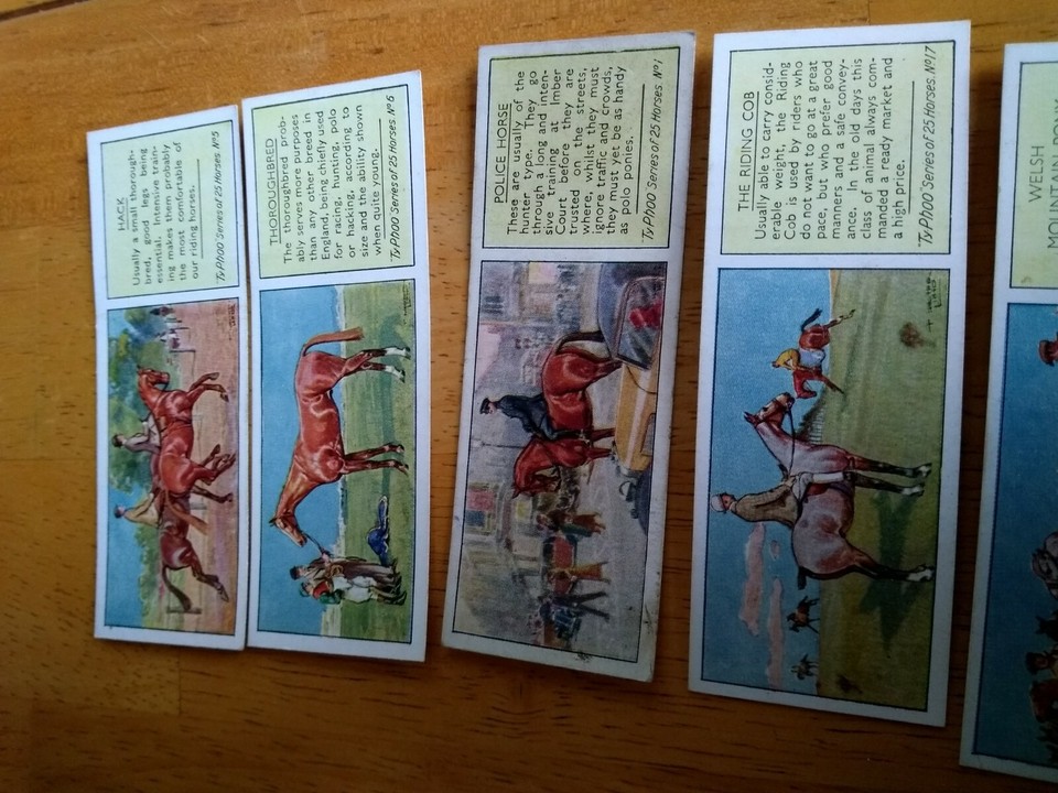 Horse racing Typhoo Tea Cards Complete Set | eBay