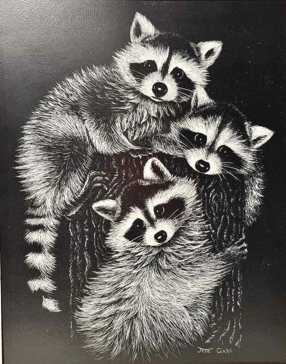 Cool Scratchboard Ideas