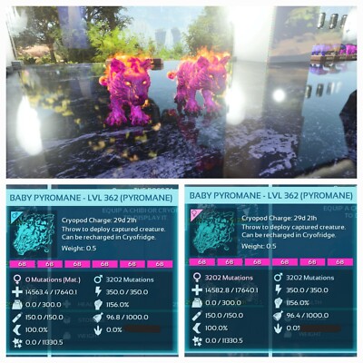 ARK ASCENDED PVE OFFICIAL PAIR BABY PYROMANE FULL PINK TOP STATUS PC ...
