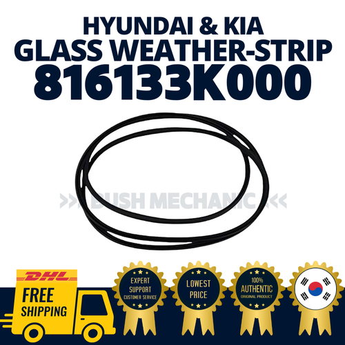 GENUINE OEM Hyundai Kia W Strip Sunroof Seal Glass Weatherstrip Equus ...