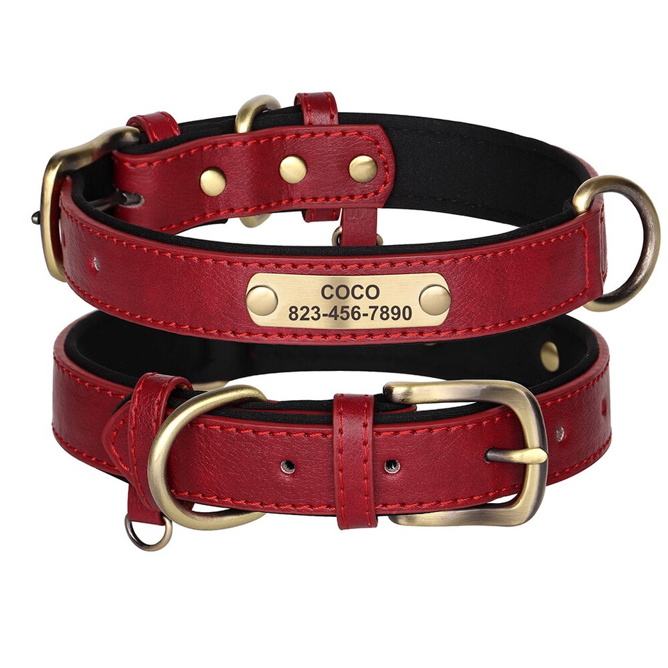 Soft PU Leather Dog Collar Brass Buckle Custom Name Plate for Small ...