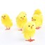 Package of 36 Adorable Mini Yellow Chenille Easter Chicks 80295002927 ...