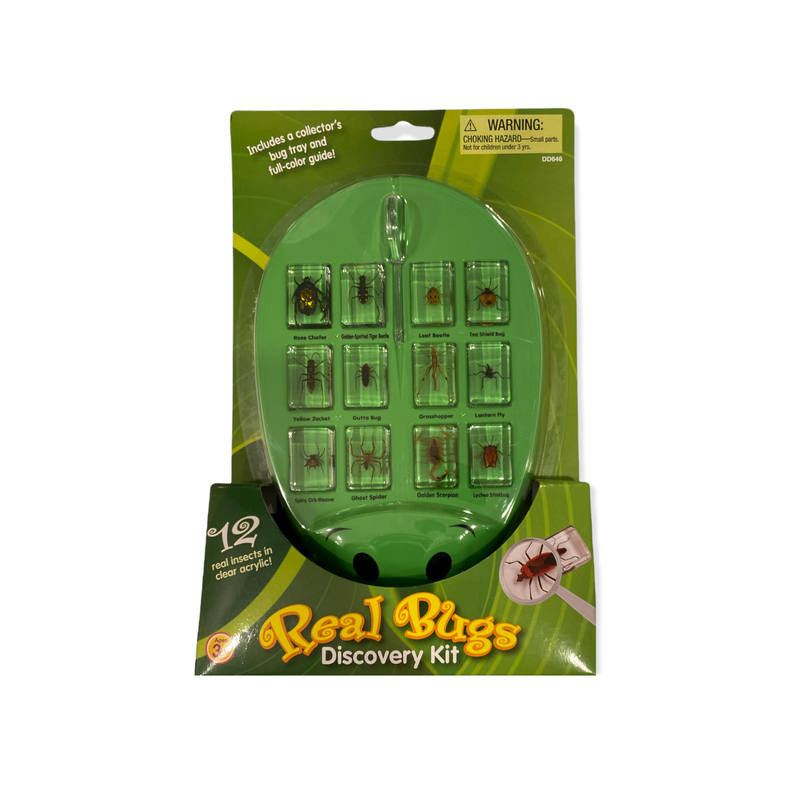 Lakeshore Real Bugs Discovery Kit. | eBay