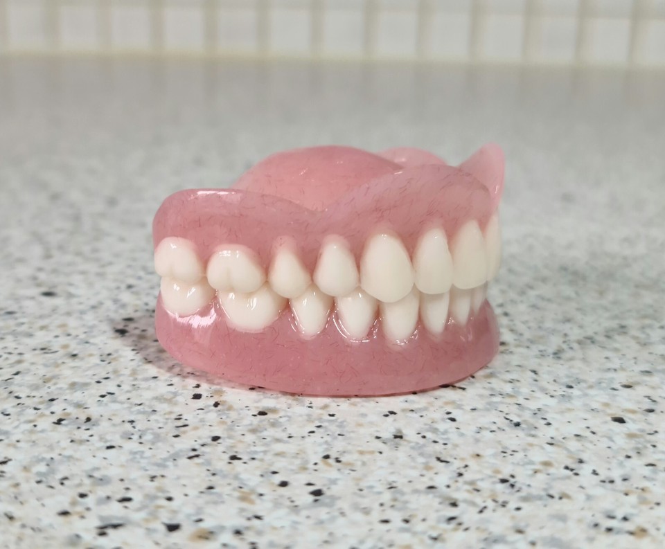 New Dentures/False Teeth,Upper&Lower set,Novelty,Display,Props,Teaching ...