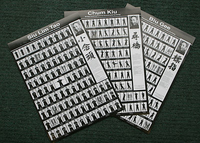 Wing Chun Kung Fu 3 Desk Chart Forms set Yip Man Ip Ching Ving Tsun 10 ...