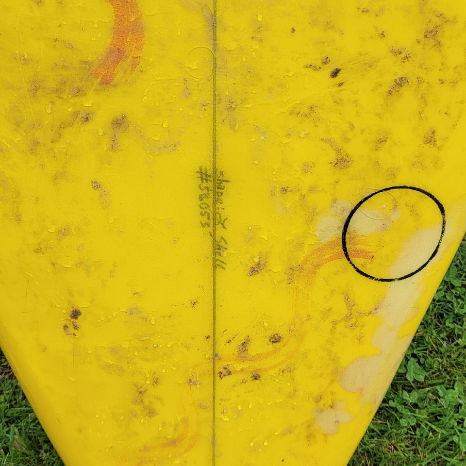 vintage 80's Lynn Shell surfboard autographed board # 56053 | eBay