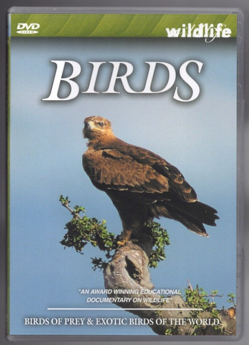 Birds - DVD | eBay Australia
