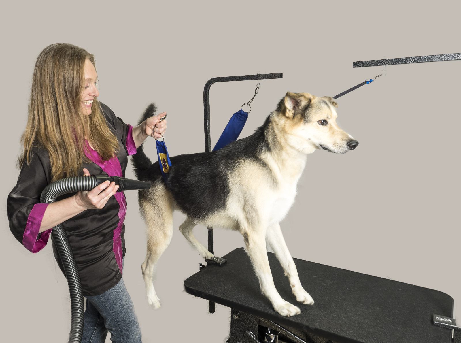 The Belly Band: Pet/Dog Grooming Safety Harness Restraint Loop Band | eBay