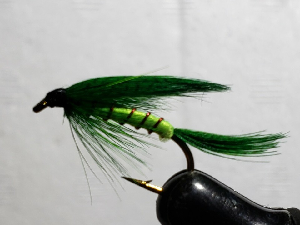 FLY-FISHING-FLIES (* WESTERN GREEN DRAKE * ) * 2 FLIES * SIZE 12 * | eBay