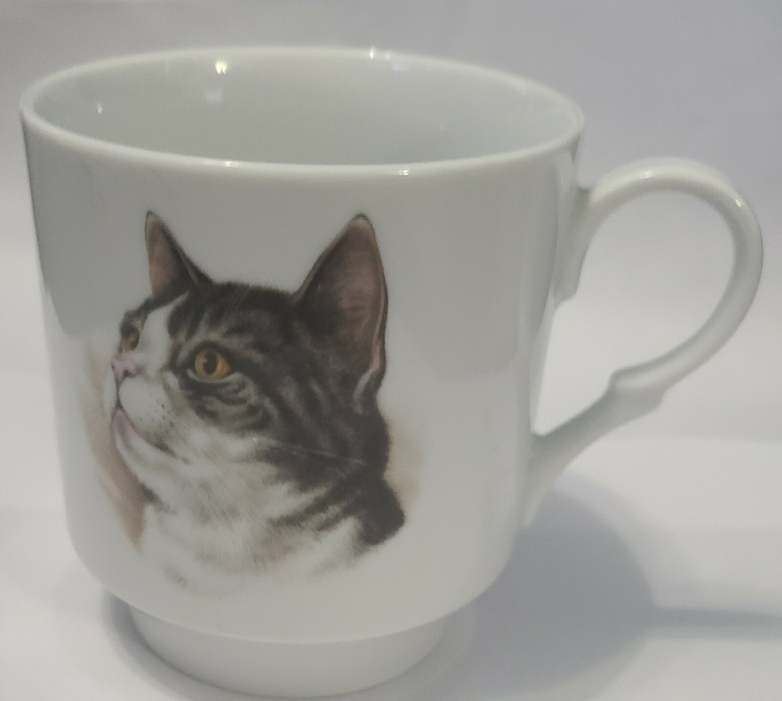 Vintage White Porcelain Cat Cup Mug Bavaria Schumann Arzberg Germany | eBay