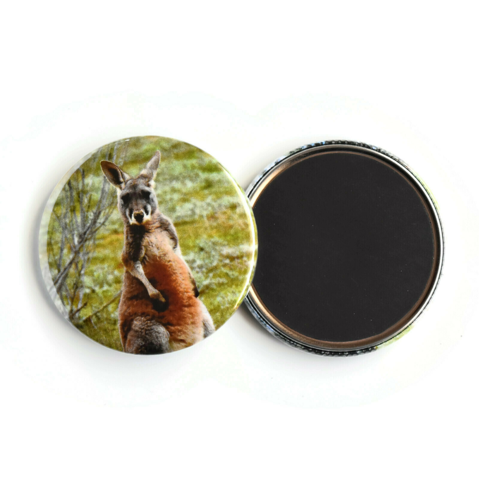 Kangaroo Fridge Magnets Set 4pc 55mm Cute Australian Animal | eBay